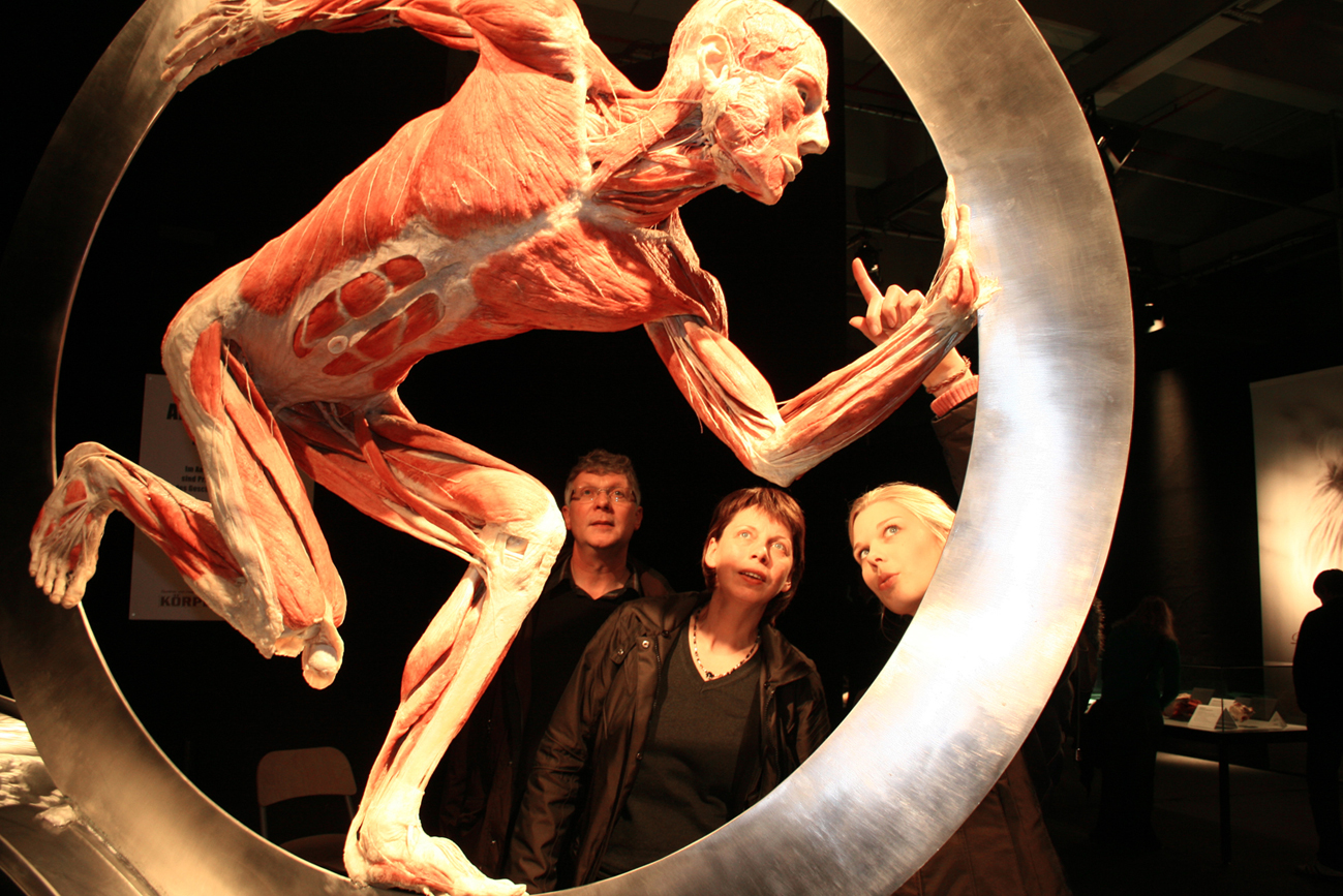 New exhibition celebrates the wonder of the human body | theluvvie